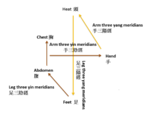 Characteristics of Meridian Flow