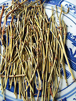 Warming Unblock Therapy - Shen Nong